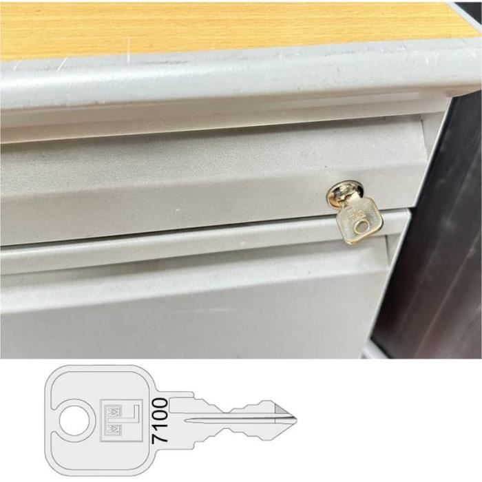 MLM EuroLocks BISLEY L&F Clé de rechange Fermeture 7001-7500 pour ...