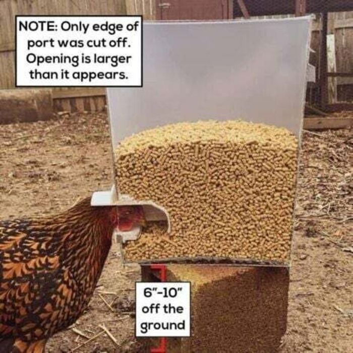 Mangeoire Poules 6 Ports Automatique Anti-Nuisibles – Gravité, Zéro ...