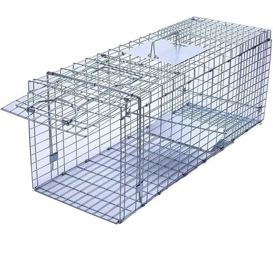 Grande pliable Humane Piège à cage pour animaux pour Raton laveur ...