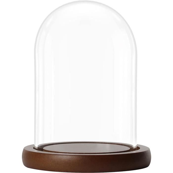 BELLE VOUS Cloche en Verre avec Socle Marron eois - 9,4 cm de Haut ...