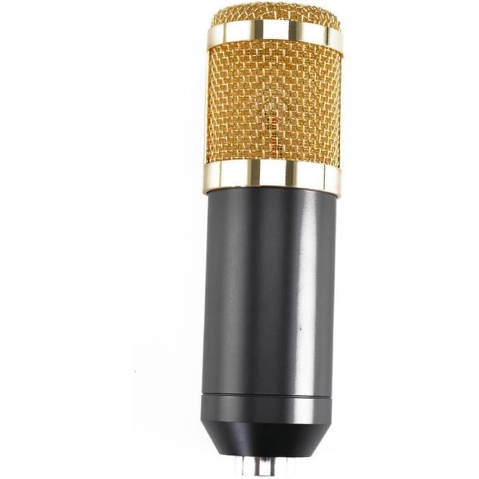 Micro D'Ordinateur De Studio Micro À Condensateur Micro Usb Trousse D ...