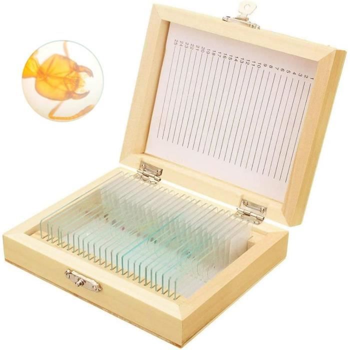 Lames de Microscope Préparées avec des Spécimens pour Les Enfants, Kit ...