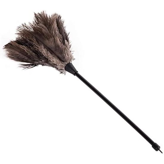 Plumeau en Plumes,Plumeau Dépoussiérant Duster à Poussière Plumes ...