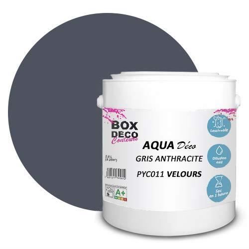PEINTURE Teinte Gris Anthracite murale acrylique aspect velours Aqua ...