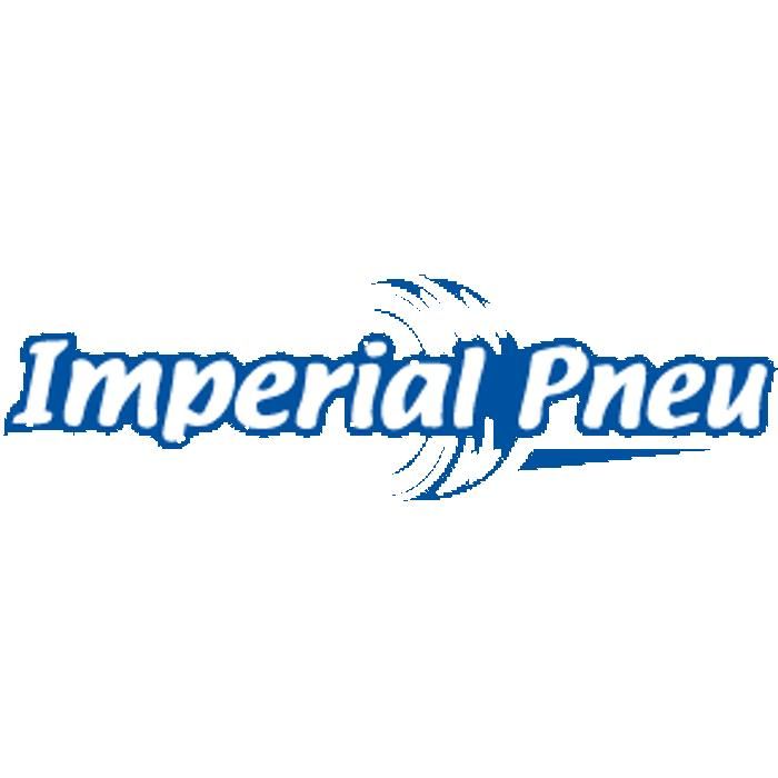 Pneu IMPERIAL SNOW DRAGON HP 165/70 R14 85T 25992135 - Cdiscount Auto