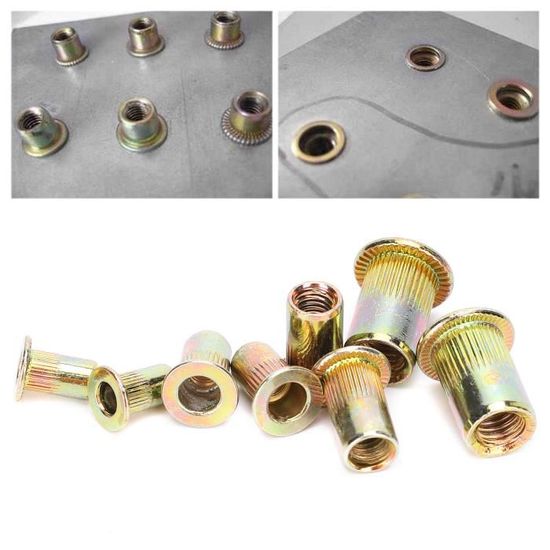 XIJ crou à rivet crous à Rivets Zingués, 240 Pièces écrous à Rivets Filetés à Tête Plate en ...