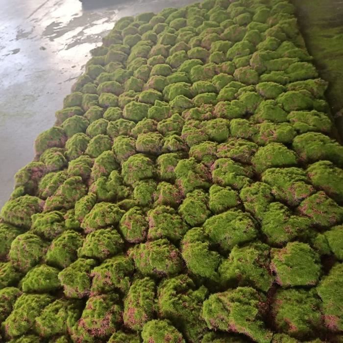 1x1m Tapis en mousse Artificielle,Artificielle Faux Jardin Gazon Herbe ...