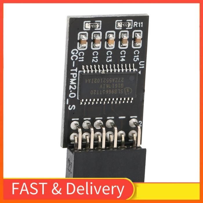HUM-Module de sécurité de cryptage TPM 2.0 12Pin LPC TPM 2.0 Carte à ...