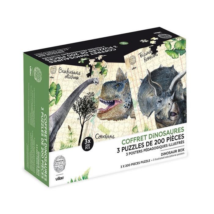 Vilac - Coffret 3 puzzles dinosaures et posters - Cdiscount Jeux - Jouets