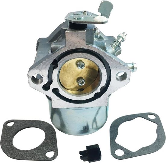 Carburateur pour Briggs & Stratton 698171 697594 - Cdiscount Jardin