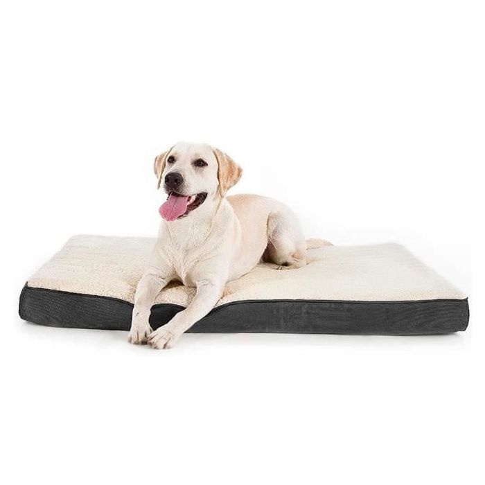 Coussin pour Chien - Orthopédique - Déhoussable - Mousse à Mémoire de ...