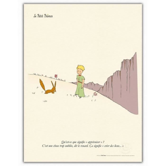 Posters et affiches - Poster affiche d'art Oneart (Le Petit Prince et ...