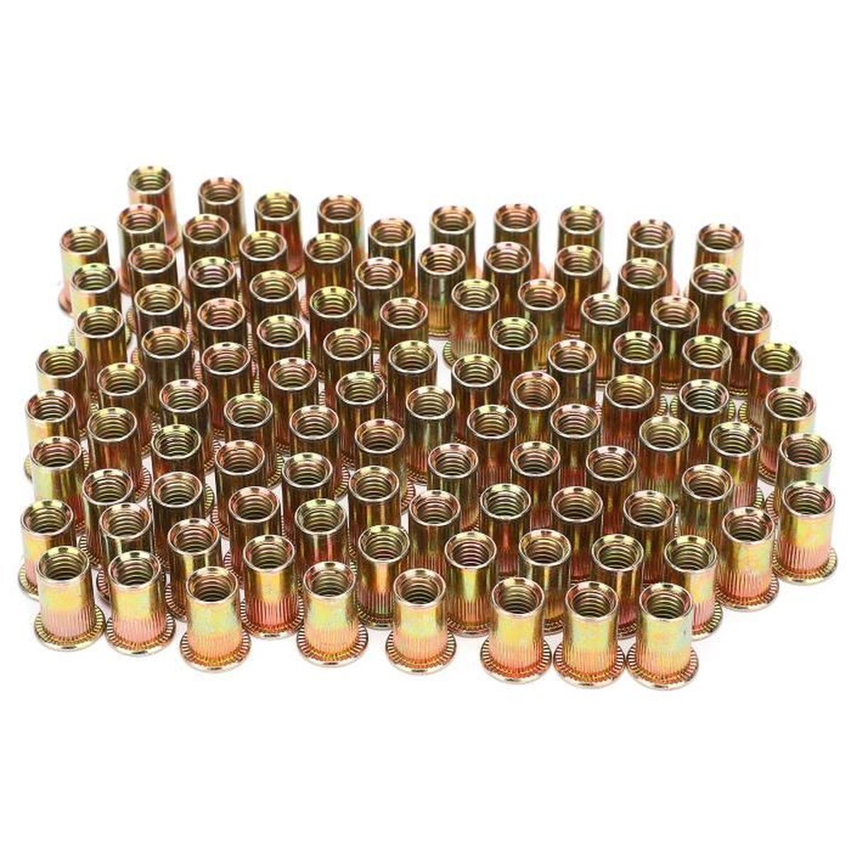 Dilwe Écrou à rivet 100pcs Écrou d'Insertion de Rivet Kit d'Écrous à ...
