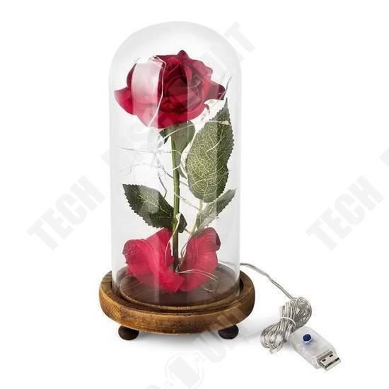 Lampe LED - TD® - La Rose Éternelle - Dôme en verre - Rose rouge ...