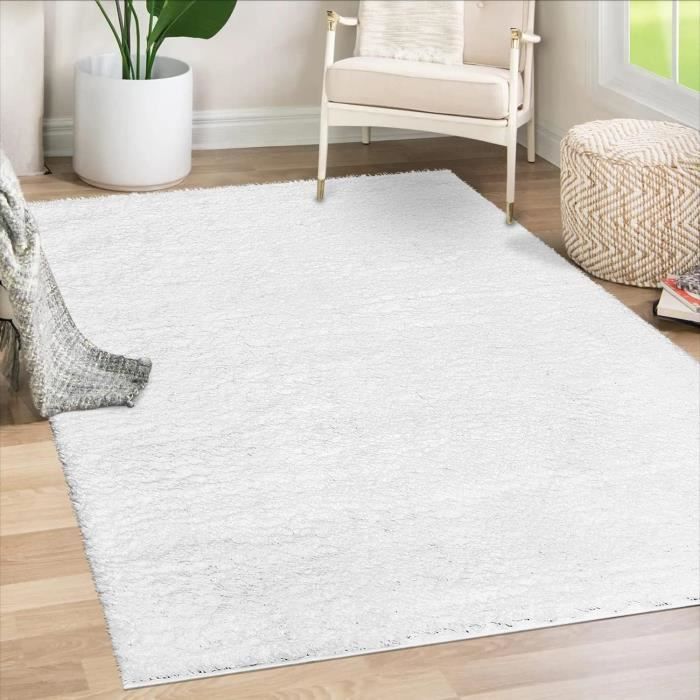 Tapis Blanc Poils Longs