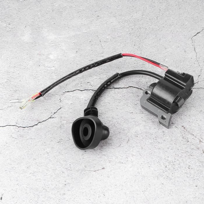 Qiilu Bobine d'allumage EBTOOLS Engine Ignition Coil, 2 Pin Ignition ...