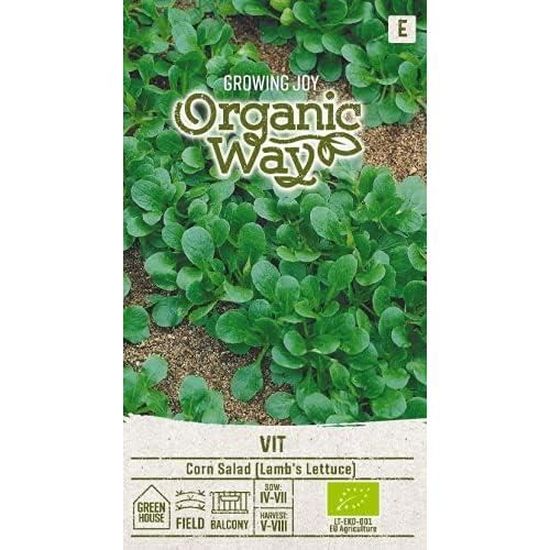 MÂCHE VIT des graines Graines de légumes 1 Paquet.[D1459] - Cdiscount ...