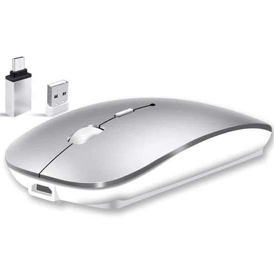 Souris Sans Fil Bluetooth (Usb 2.4 Ghz + Bluetooth 5.2 + Adaptateur Usb ...