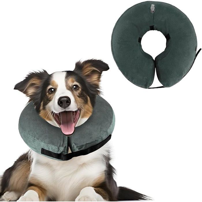 Collerette Chien Gonfble,Colerette pour Chien Anti ,pour Protection ...