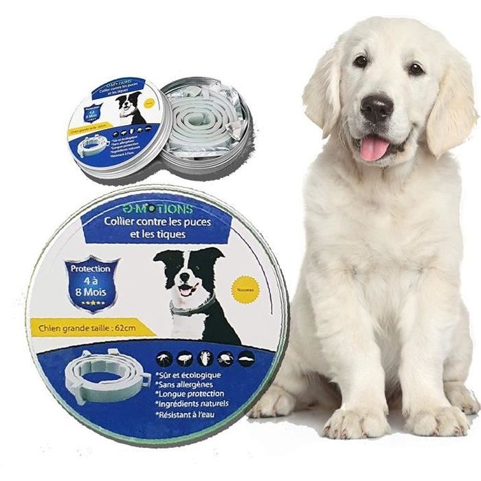 Collier Anti-Puces et Anti-Tiques pour Chats Chiens/Chats,Jusqu'à 8 ...