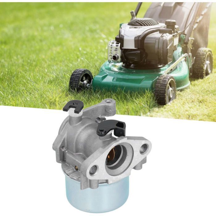 Carburateur pour Tondeuse Briggs Stratton 799866 790845 799871 796707 ...