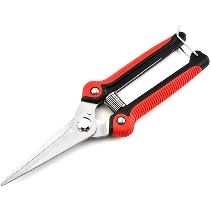 Ciseaux de jardin multifonctionnels en acier inoxydable pour couper les ...