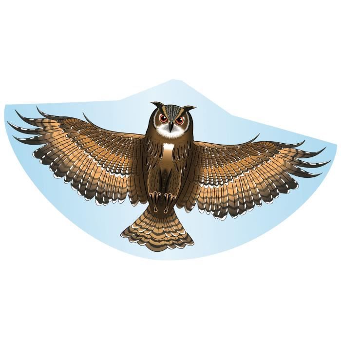 Cerf-volant monofil Eule - GUNTHER - Design hibou - PE résistant - Pour ...
