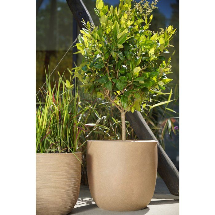 Pot boule - CAPI EUROPE - Smooth NL - 43 x 41 cm - Beige - Cdiscount Jardin