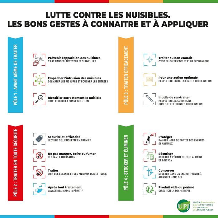 Gel appât formicide 15g Idéal pour éliminer les fourmis,à l'intérieur ...