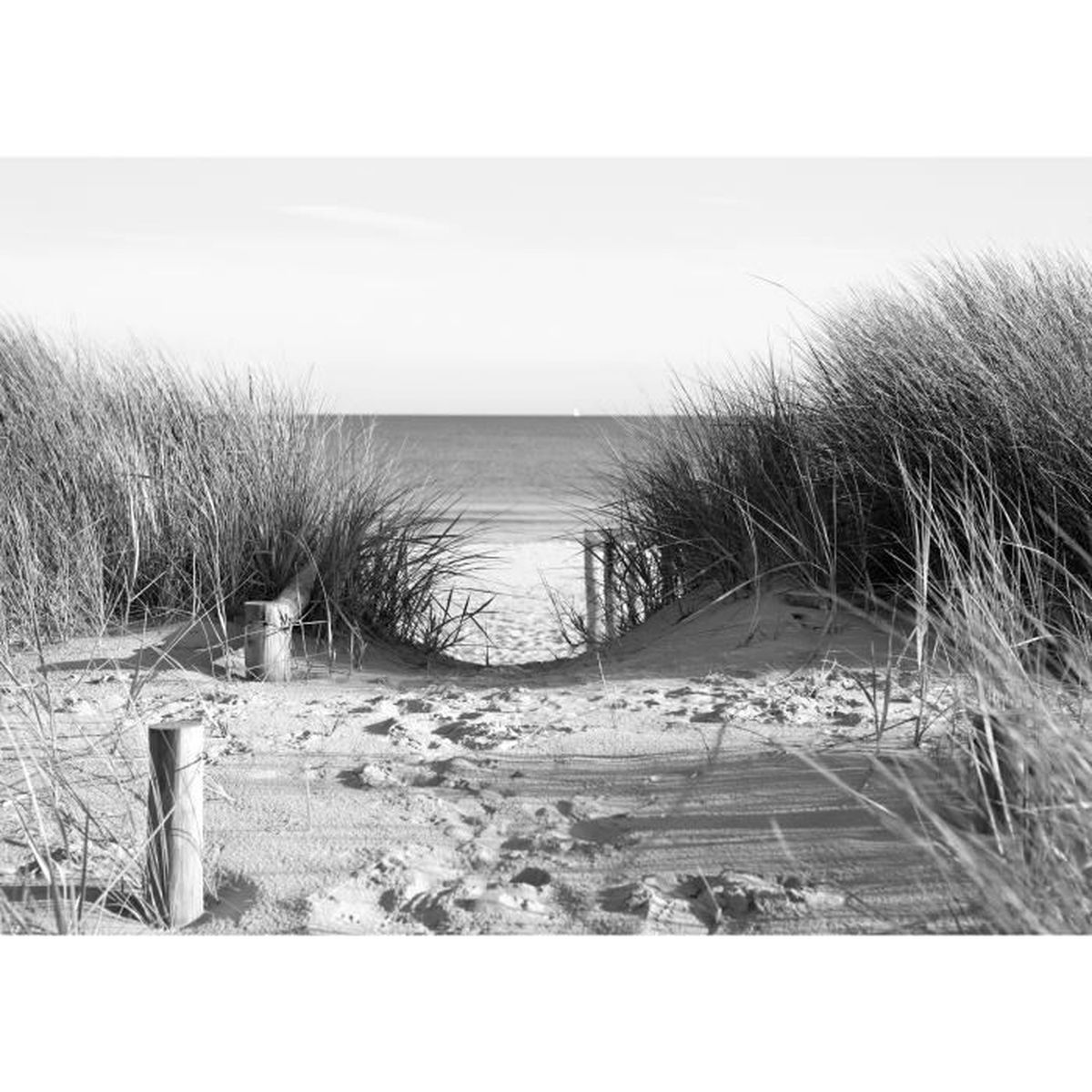 Dune Papier Peint Panoramique Papier Peint Paysage Paysage Plage My dune-papier-peint-panoramique-papier-peint-paysage-paysage-plage-my