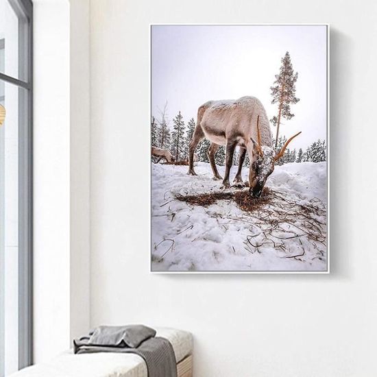 Cerf dans la neige est en train de butiner Hd photo impression affiche ...