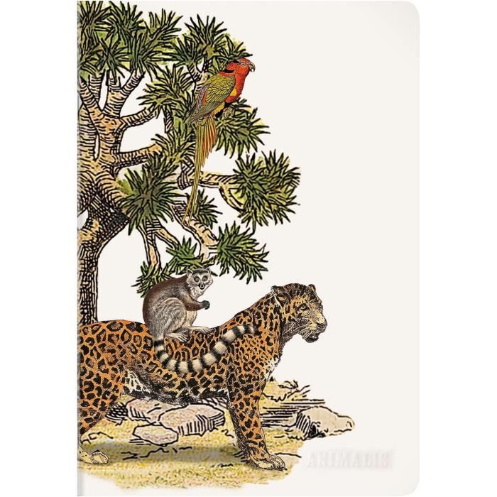 115992C - Un Cahier Piqué Visuel Animal-Kangourou-Jaguar - A4 21X29,7 ...