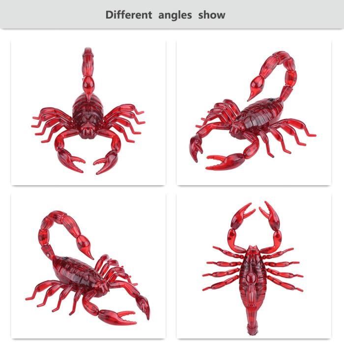 YOSOO Scorpion RC RC Scorpion Toy, Modèle de Scorpion Super Réaliste ...