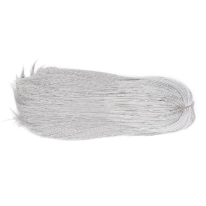 SALUTUYA Perruque Cosplay Perruque de cheveux longs gris pour femmes ...