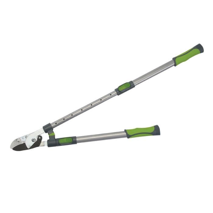 EBRANCHEUR TELESCOPIQUE COUPE BRANCHE A ENCLUME - Cdiscount Jardin
