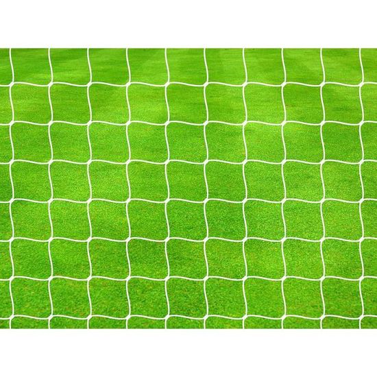 Filet football pour le but Precision Pro (x2) - 732x244 cm - Cdiscount ...