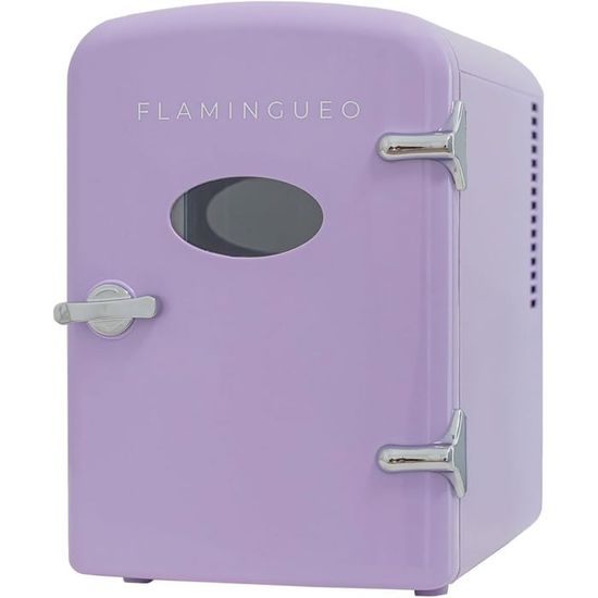Flamingueo Mini Frigo - Petit Frigo 4L, Mini Frigo de Chambre, 12V/220V ...