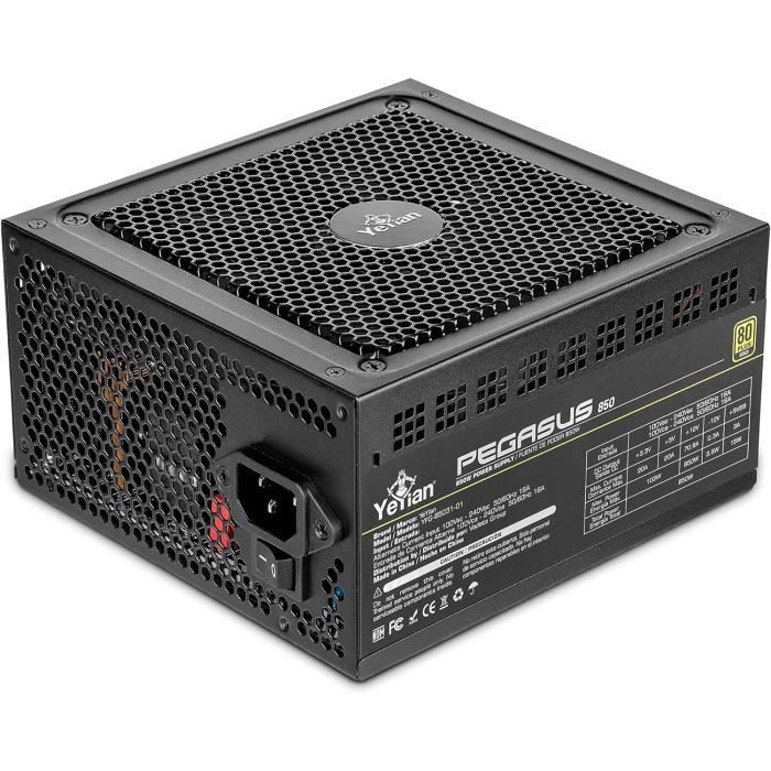 Pegasus 850W Alimentation Modulaire Pour Pc 80+ Gold | Pci-E Gen 5 ...
