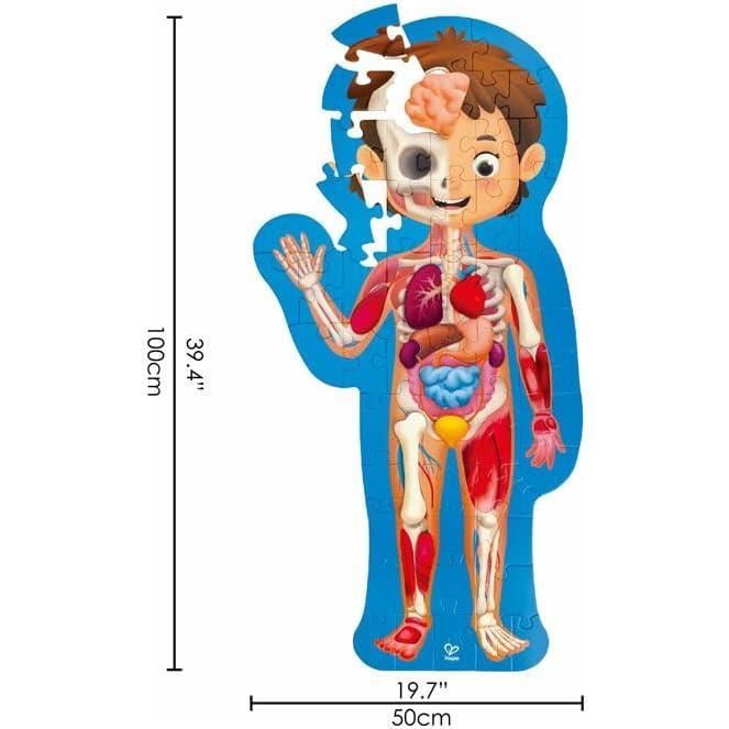 Puzzle Enfant 4 Ans Corps Humain 60 Pièces En Bois, 1 M De Long ...