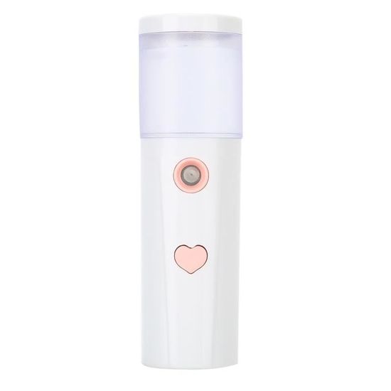 VINGVO Vaporisateur d'hydratation pour le visage Pulvérisateur d ...