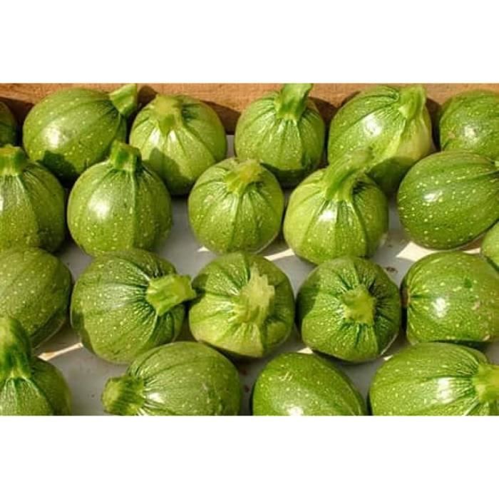 Courgette de Nice à fruits Rond 10 graines.[D1284] - Cdiscount Jardin