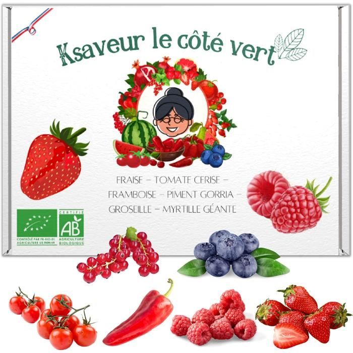 Kit prêt à Pousser - Fraise Tomate Cerise Framboise Piment Type ...