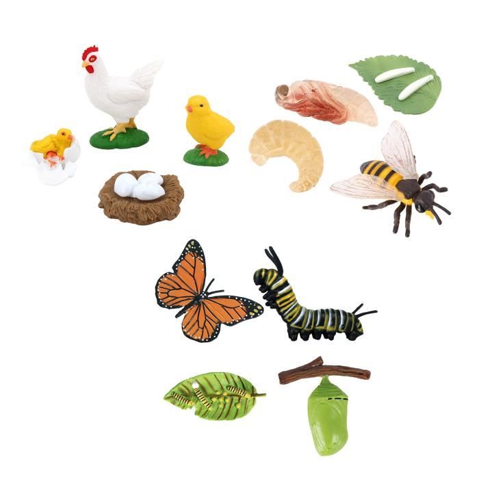 3 Set Nature Insectes Croissance Cycle de Vie Figure Enfants Éducation ...