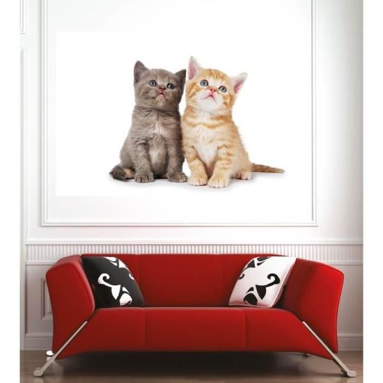 Affiche poster 2 chats - dimensions affiches:39x26cm - Cdiscount Maison