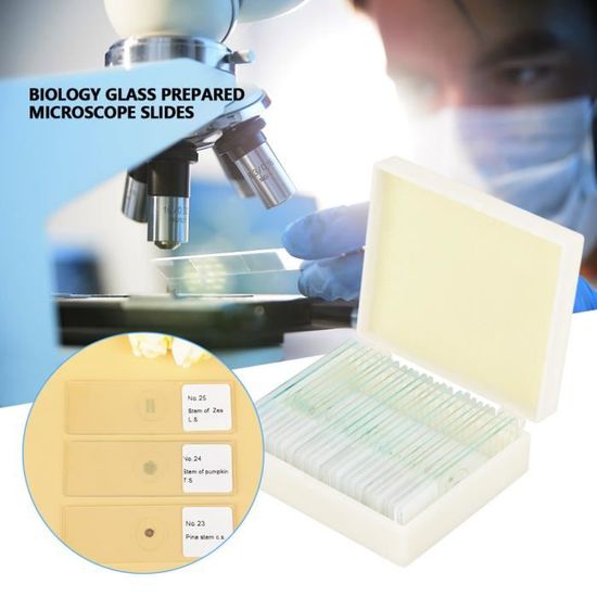 Lame de microscope, lame d'échantillons colorée avec soin Les lames ...