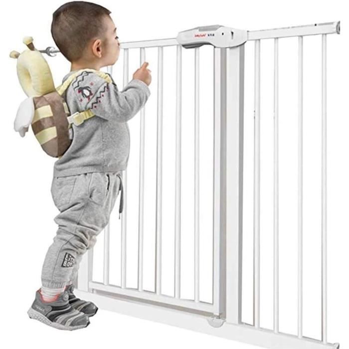 Barrière de Sécurité Stairway et Hall d'entrée murale Dual Lock Porte ...