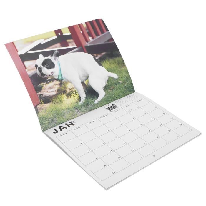 EJ.life 2021 Calendar, Dog-Pattern Hanging Calendar, 11.0x8.3in ...
