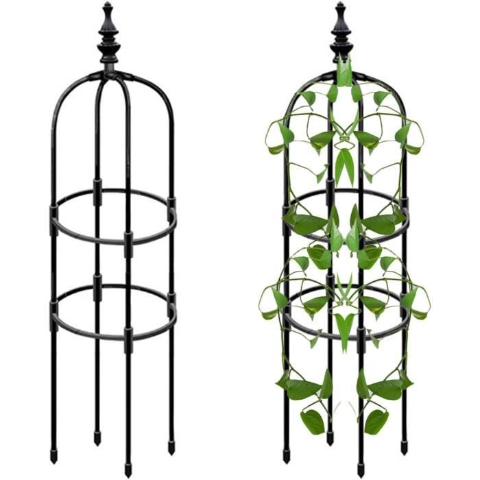 Lot de 2 Tuteur Jardin, Pyramide Haute 120 cm, Colonne Rosier, Arche ...