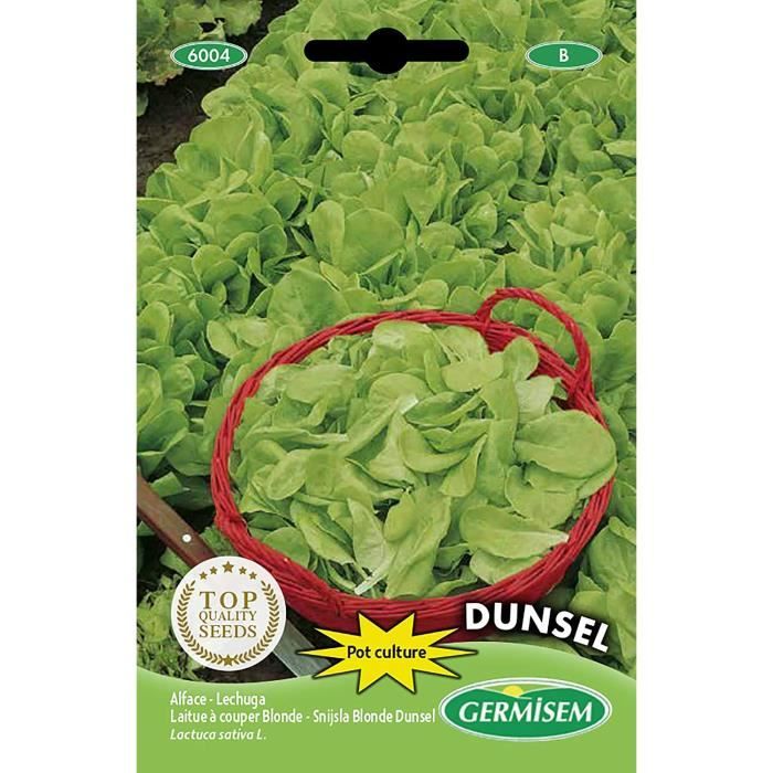 Germisem graines Laitue à couper Blonde DUNSEL[387] - Cdiscount Jardin