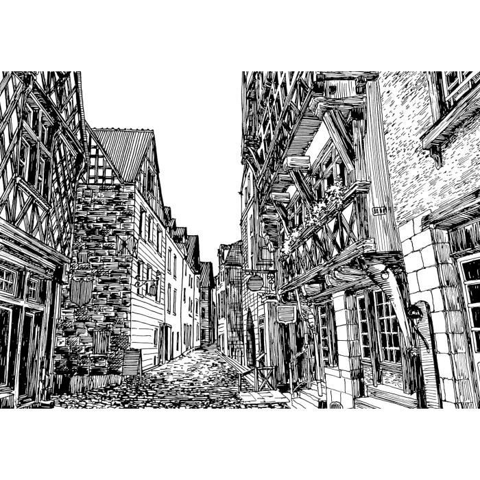 93320C Paquet Bristol - 25 Feuilles Papier Bristol Blanc Extra Lisse - 50x65 cm 205g - Idéal ...